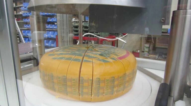 Automated Cheese Food Processing Equipment